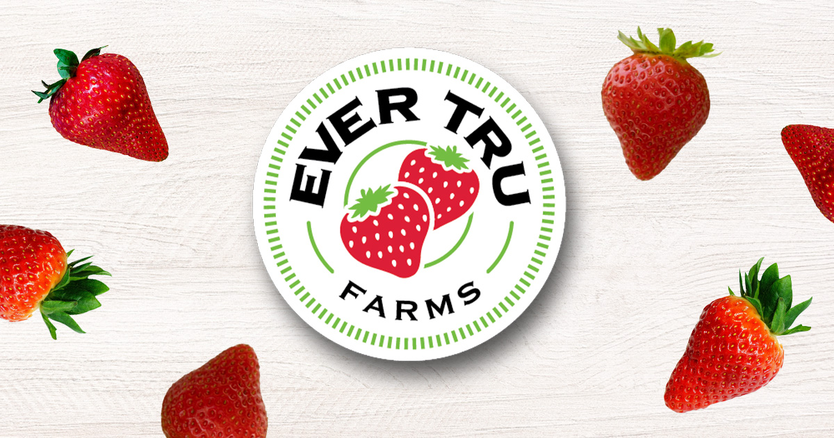 Our Indoor Berry Farm | Ever Tru Farms